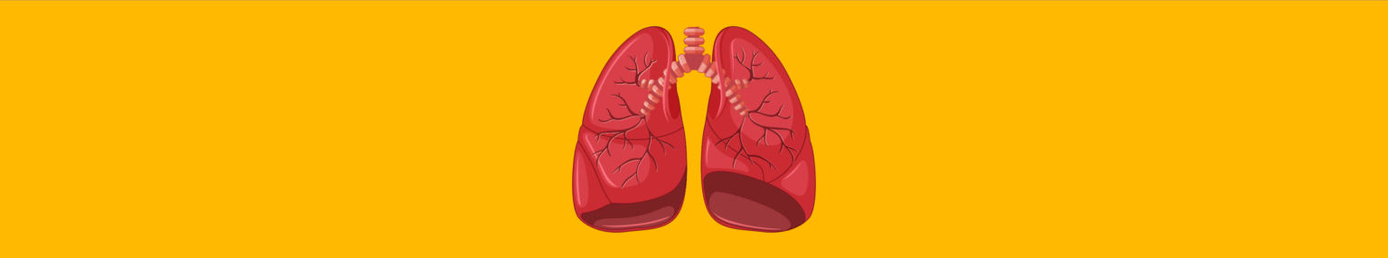 Pulmonary Vascular Resistance (PVR) Calculator